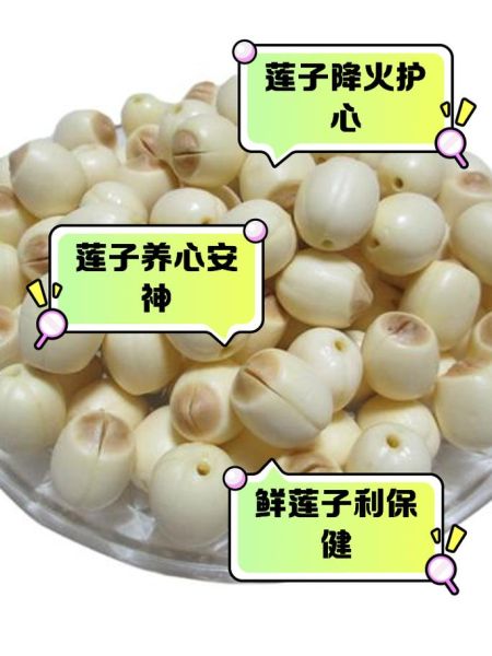 鲜莲子怎么吃不上火_鲜莲子的功效与作用禁忌-第3张图片-山城妙识 鲜莲子怎么吃不上火_鲜莲子的功效与作用禁忌-第3张图片-山城妙识