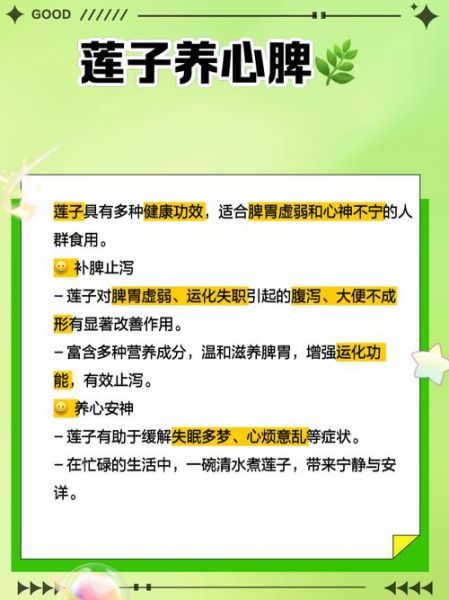 鲜莲子怎么吃不上火_鲜莲子的功效与作用禁忌-第1张图片-山城妙识 鲜莲子怎么吃不上火_鲜莲子的功效与作用禁忌-第1张图片-山城妙识