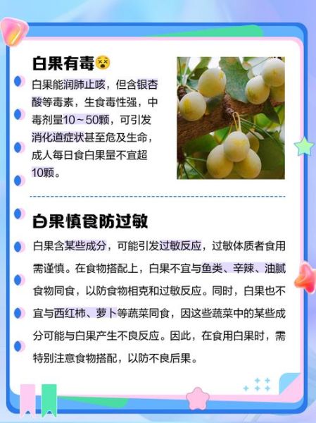 长期服用白果的危害_白果中毒症状有哪些-第1张图片-山城妙识 长期服用白果的危害_白果中毒症状有哪些-第1张图片-山城妙识