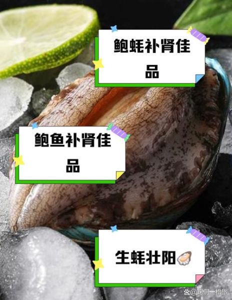 象拔蚌和鲍鱼是什么梗_网络黑话解析-第2张图片-山城妙识 象拔蚌和鲍鱼是什么梗_网络黑话解析-第2张图片-山城妙识