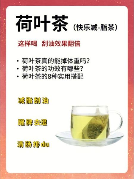 荷叶怎么制作荷叶茶_荷叶茶的功效与作用-第1张图片-山城妙识 荷叶怎么制作荷叶茶_荷叶茶的功效与作用-第1张图片-山城妙识