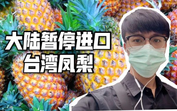 台湾凤梨事件怎么回事_大陆暂停进口原因-第1张图片-山城妙识 台湾凤梨事件怎么回事_大陆暂停进口原因-第1张图片-山城妙识