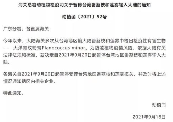 台湾凤梨事件怎么回事_大陆暂停进口原因-第3张图片-山城妙识 台湾凤梨事件怎么回事_大陆暂停进口原因-第3张图片-山城妙识