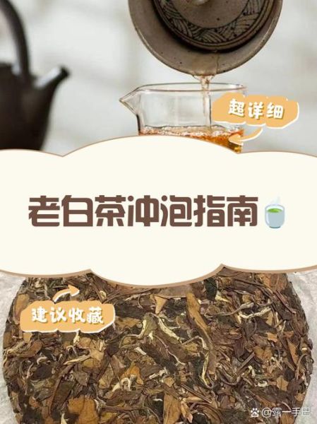 老白茶怎么泡_老白茶冲泡水温多少度-第2张图片-山城妙识 老白茶怎么泡_老白茶冲泡水温多少度-第2张图片-山城妙识
