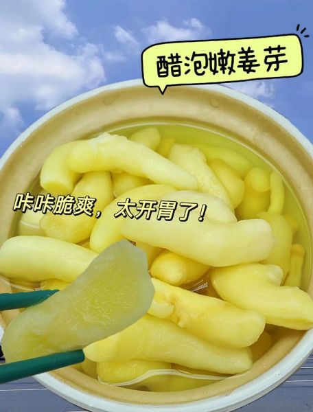 姜芽怎么腌制才脆_姜芽腌制方法大全-第1张图片-山城妙识 姜芽怎么腌制才脆_姜芽腌制方法大全-第1张图片-山城妙识