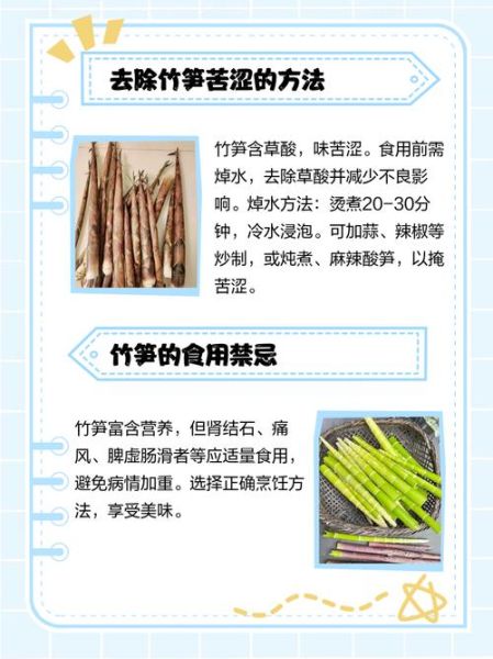 鲜竹笋怎么处理才不会苦_竹笋去苦味的正确方法-第1张图片-山城妙识