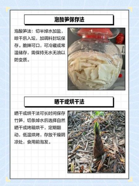 鲜竹笋怎么处理才不会苦_竹笋去苦味的正确方法-第3张图片-山城妙识