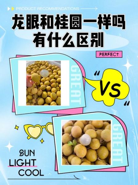 龙眼肉和桂圆肉是同一种东西吗_区别与功效-第1张图片-山城妙识 龙眼肉和桂圆肉是同一种东西吗_区别与功效-第1张图片-山城妙识