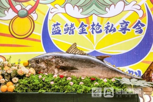 金枪鱼价格2021多少钱一斤_金枪鱼价格2021年走势-第3张图片-山城妙识 金枪鱼价格2021多少钱一斤_金枪鱼价格2021年走势-第3张图片-山城妙识