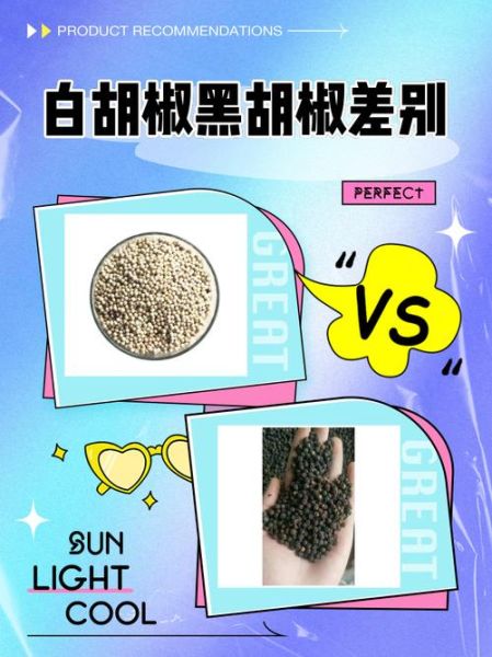 胡椒粉是白胡椒还是黑胡椒_区别与选购-第2张图片-山城妙识