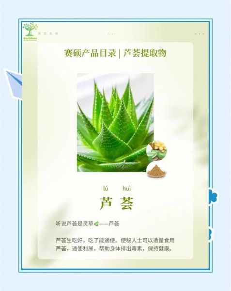 芦荟怎么吃减肥_芦荟减肥的正确吃法-第2张图片-山城妙识 芦荟怎么吃减肥_芦荟减肥的正确吃法-第2张图片-山城妙识