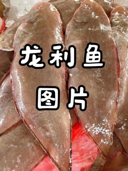 龙利鱼是什么鱼_龙利鱼图片长什么样-第1张图片-山城妙识 龙利鱼是什么鱼_龙利鱼图片长什么样-第1张图片-山城妙识