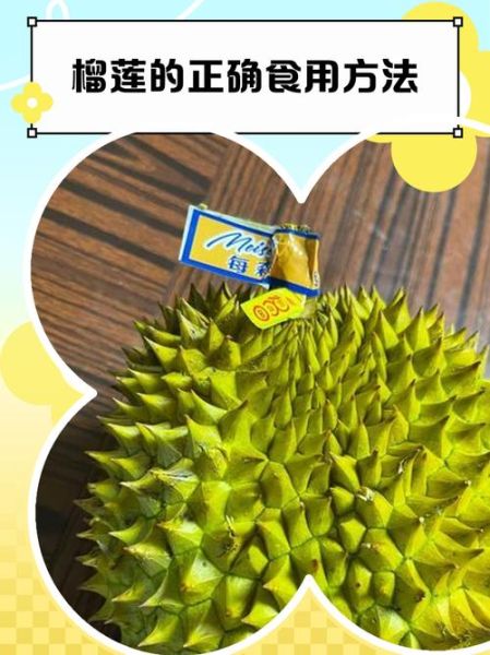 第一次吃榴莲怎么吃好吃_榴莲怎么吃不臭-第1张图片-山城妙识 第一次吃榴莲怎么吃好吃_榴莲怎么吃不臭-第1张图片-山城妙识