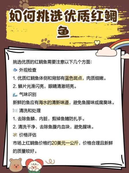 鲷鱼市场价多少钱一斤_鲷鱼价格影响因素-第2张图片-山城妙识 鲷鱼市场价多少钱一斤_鲷鱼价格影响因素-第2张图片-山城妙识