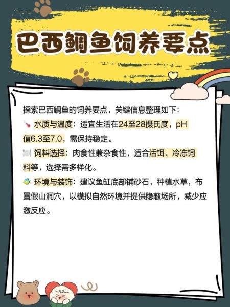 鲷鱼市场价多少钱一斤_鲷鱼价格影响因素-第1张图片-山城妙识 鲷鱼市场价多少钱一斤_鲷鱼价格影响因素-第1张图片-山城妙识