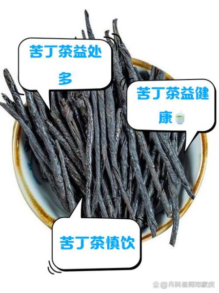 苦丁茶的功效与作用及禁忌是什么_苦丁茶哪些人不能喝-第1张图片-山城妙识 苦丁茶的功效与作用及禁忌是什么_苦丁茶哪些人不能喝-第1张图片-山城妙识