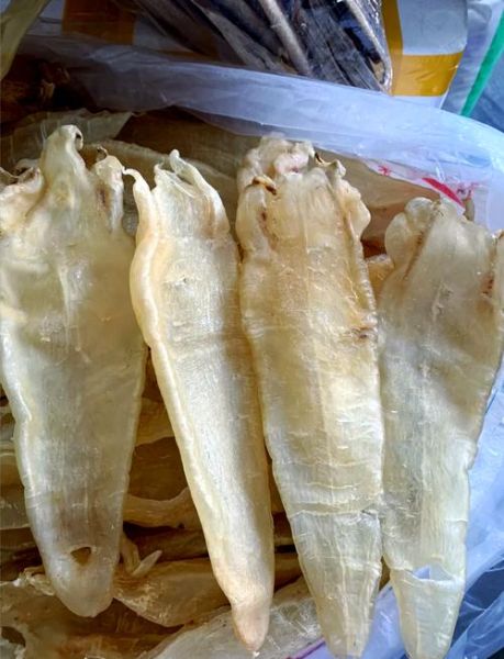 鮸鱼胶的功效与作用_鮸鱼胶适合什么人吃-第3张图片-山城妙识 鮸鱼胶的功效与作用_鮸鱼胶适合什么人吃-第3张图片-山城妙识