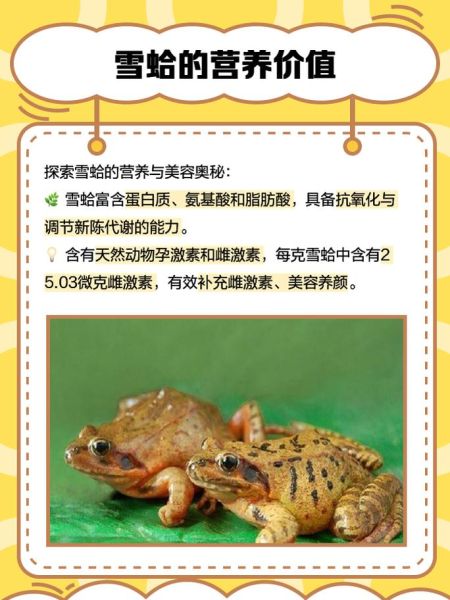 雪蛤哪里买比较正宗_正宗雪蛤购买渠道-第1张图片-山城妙识 雪蛤哪里买比较正宗_正宗雪蛤购买渠道-第1张图片-山城妙识