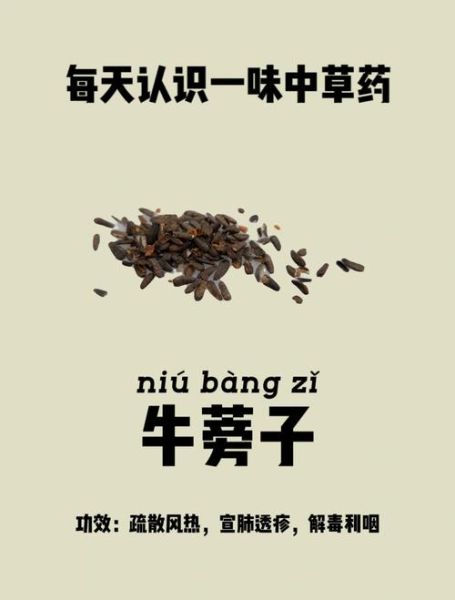 牛蒡的功效与作用_牛蒡的禁忌症有哪些-第2张图片-山城妙识 牛蒡的功效与作用_牛蒡的禁忌症有哪些-第2张图片-山城妙识