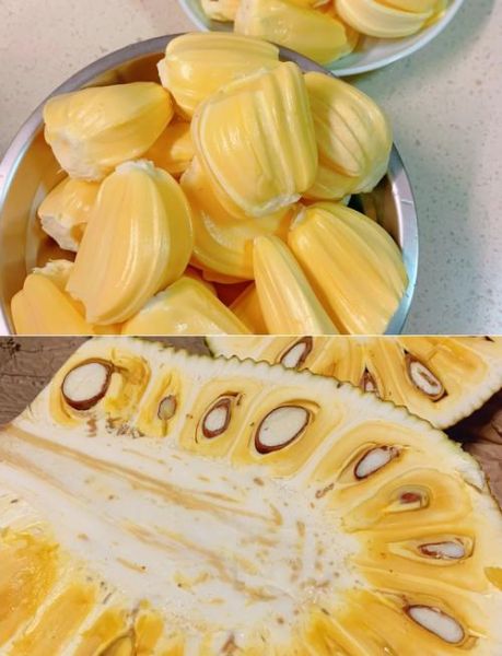 菠萝蜜怎么剥开_菠萝蜜快速剥图解-第1张图片-山城妙识 菠萝蜜怎么剥开_菠萝蜜快速剥图解-第1张图片-山城妙识