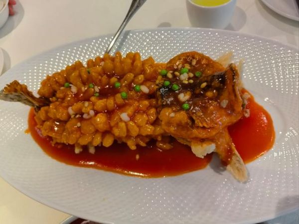 松鼠桂鱼用什么鱼代替_口感最接近的替代鱼种-第1张图片-山城妙识