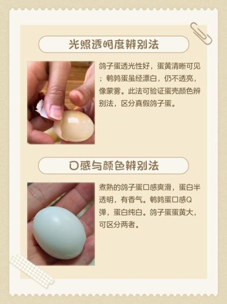 假鸽子蛋煮熟后怎么辨别_假鸽子蛋煮熟后图片特征-第1张图片-山城妙识 假鸽子蛋煮熟后怎么辨别_假鸽子蛋煮熟后图片特征-第1张图片-山城妙识