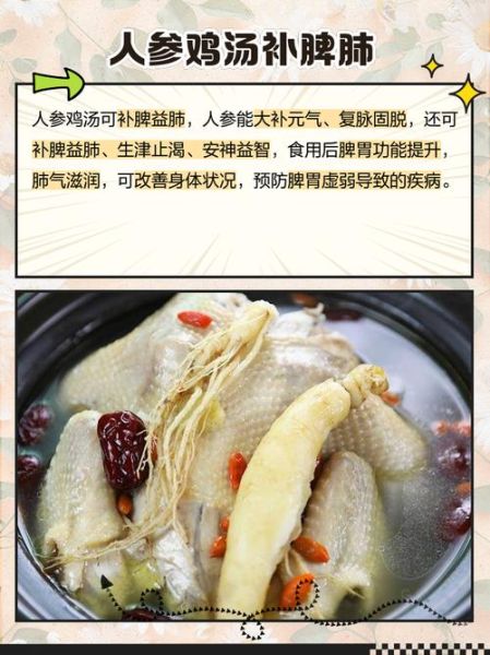 人参炖小鸡排骨怎么做_人参炖小鸡排骨的功效-第3张图片-山城妙识