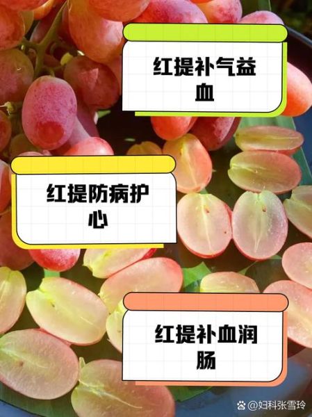 红提子的功效与作用禁忌_孕妇能吃吗-第1张图片-山城妙识 红提子的功效与作用禁忌_孕妇能吃吗-第1张图片-山城妙识