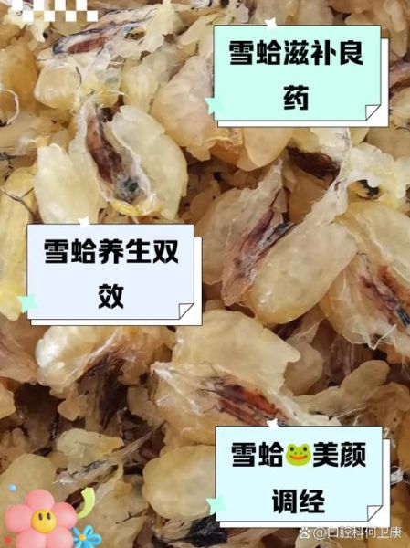 雪蛤是什么_雪蛤的功效与作用-第3张图片-山城妙识 雪蛤是什么_雪蛤的功效与作用-第3张图片-山城妙识