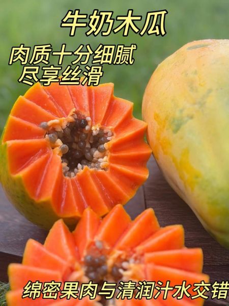 牛奶泡木瓜有什么功效_牛奶木瓜丰胸是真的吗-第3张图片-山城妙识 牛奶泡木瓜有什么功效_牛奶木瓜丰胸是真的吗-第3张图片-山城妙识
