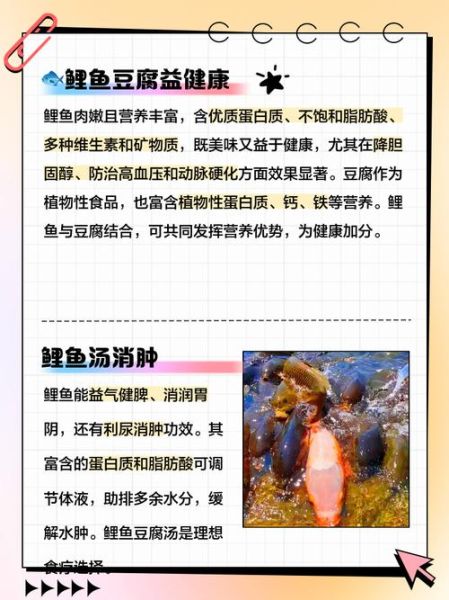 鲤鱼汤的功效与作用_孕妇可以喝吗-第2张图片-山城妙识
