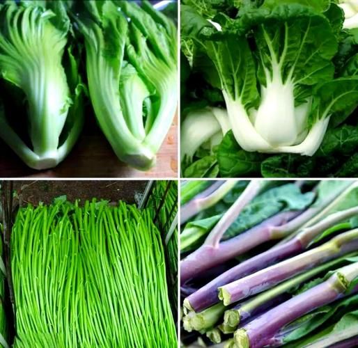 青菜图片大全大图_青菜种类识别图解-第2张图片-山城妙识 青菜图片大全大图_青菜种类识别图解-第2张图片-山城妙识