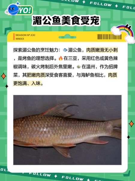 湄公鱼是什么鱼_湄公鱼图片长什么样-第1张图片-山城妙识 湄公鱼是什么鱼_湄公鱼图片长什么样-第1张图片-山城妙识