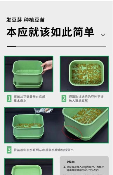 发豆芽用什么容器最好_家用豆芽盒怎么选-第1张图片-山城妙识 发豆芽用什么容器最好_家用豆芽盒怎么选-第1张图片-山城妙识