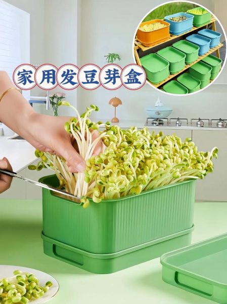 发豆芽用什么容器最好_家用豆芽盒怎么选-第2张图片-山城妙识 发豆芽用什么容器最好_家用豆芽盒怎么选-第2张图片-山城妙识