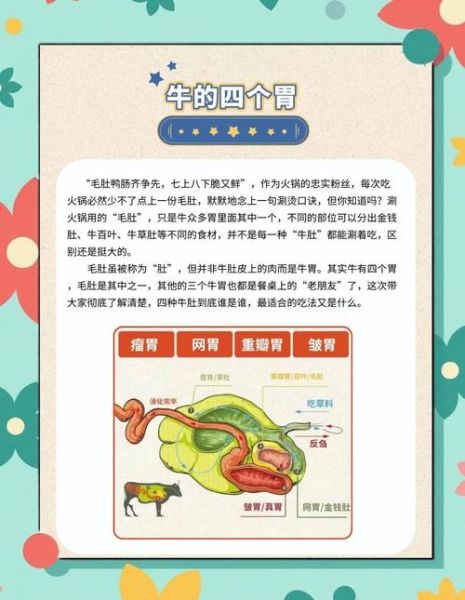 牛肚子里的旅行_牛有几个胃-第2张图片-山城妙识
