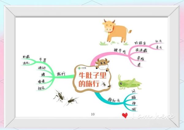 牛肚子里的旅行_牛有几个胃-第3张图片-山城妙识