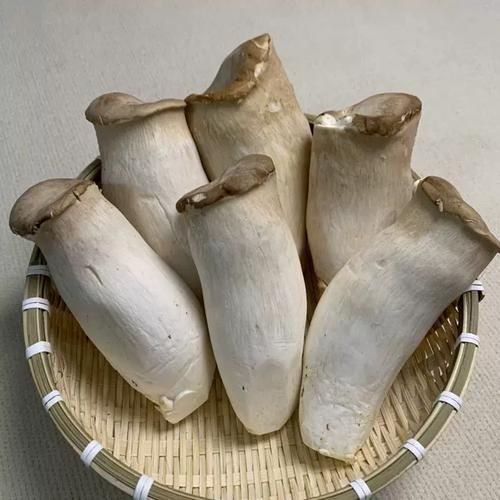 鸡腿菇是杏鲍菇吗_区别与选购指南-第2张图片-山城妙识 鸡腿菇是杏鲍菇吗_区别与选购指南-第2张图片-山城妙识