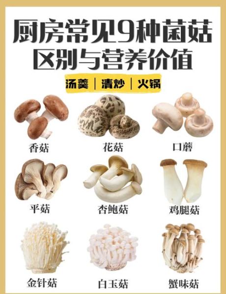 鸡腿菇是杏鲍菇吗_区别与选购指南-第1张图片-山城妙识 鸡腿菇是杏鲍菇吗_区别与选购指南-第1张图片-山城妙识