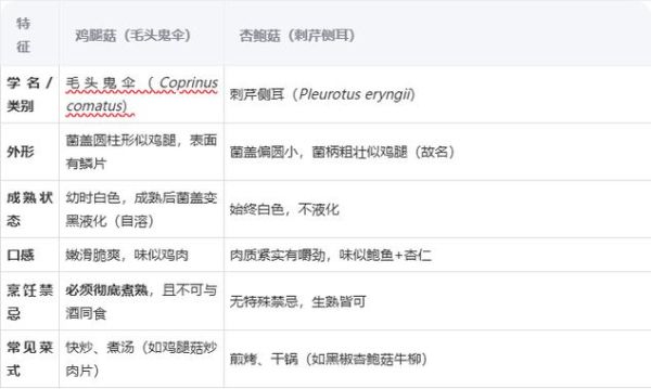 鸡腿菇是杏鲍菇吗_区别与选购指南-第3张图片-山城妙识 鸡腿菇是杏鲍菇吗_区别与选购指南-第3张图片-山城妙识