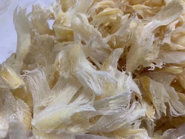 鲜鱼翅最简单的做法_鱼翅怎么做好吃又简单-第2张图片-山城妙识 鲜鱼翅最简单的做法_鱼翅怎么做好吃又简单-第2张图片-山城妙识