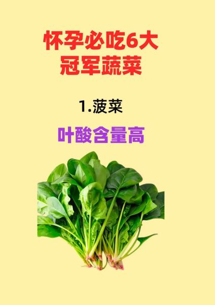 孕妇吃什么蔬菜好_孕妇必吃的32种蔬菜有哪些-第3张图片-山城妙识 孕妇吃什么蔬菜好_孕妇必吃的32种蔬菜有哪些-第3张图片-山城妙识