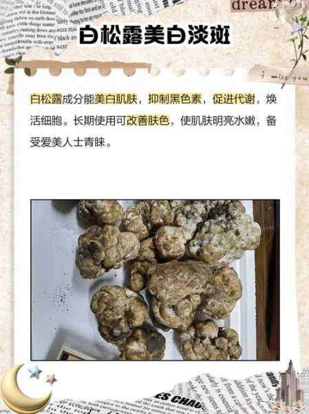 白松露怎么保存_白松露的家常做法-第3张图片-山城妙识