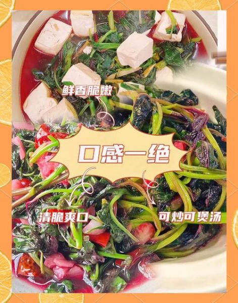 苋菜怎么摘图解_苋菜摘心技巧-第3张图片-山城妙识 苋菜怎么摘图解_苋菜摘心技巧-第3张图片-山城妙识