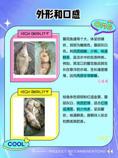 鳜鱼和桂鱼是一种鱼吗_鳜鱼桂鱼区别-第2张图片-山城妙识