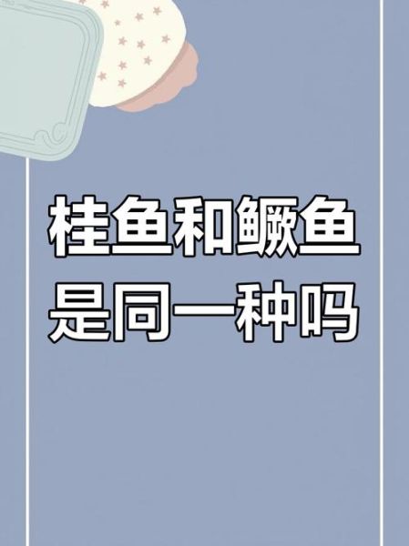 鳜鱼和桂鱼是一种鱼吗_鳜鱼桂鱼区别-第3张图片-山城妙识