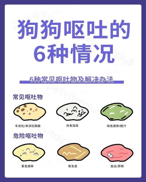 鲱鱼罐头狗吐了怎么办_狗吃了鲱鱼罐头呕吐急救-第2张图片-山城妙识 鲱鱼罐头狗吐了怎么办_狗吃了鲱鱼罐头呕吐急救-第2张图片-山城妙识