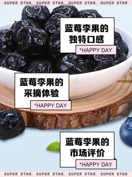 蓝莓李果是什么水果_蓝莓李果和蓝莓的区别-第1张图片-山城妙识 蓝莓李果是什么水果_蓝莓李果和蓝莓的区别-第1张图片-山城妙识