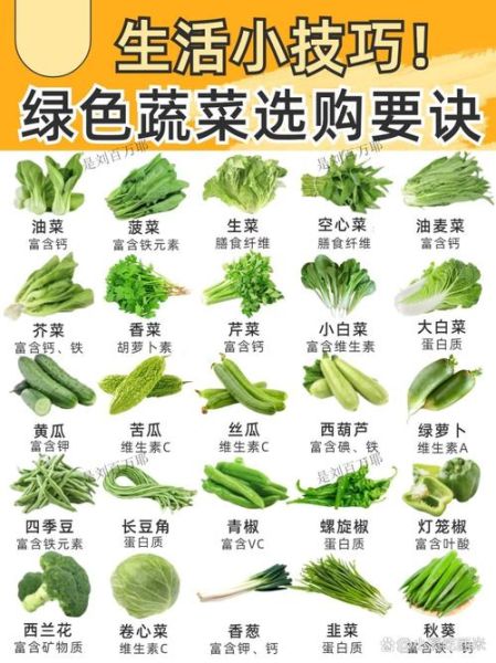 蔬菜名称大全_常见蔬菜种类有哪些-第2张图片-山城妙识
