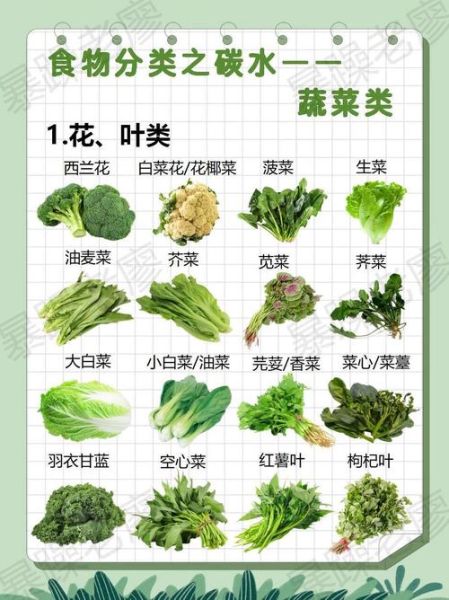 蔬菜名称大全_常见蔬菜种类有哪些-第3张图片-山城妙识